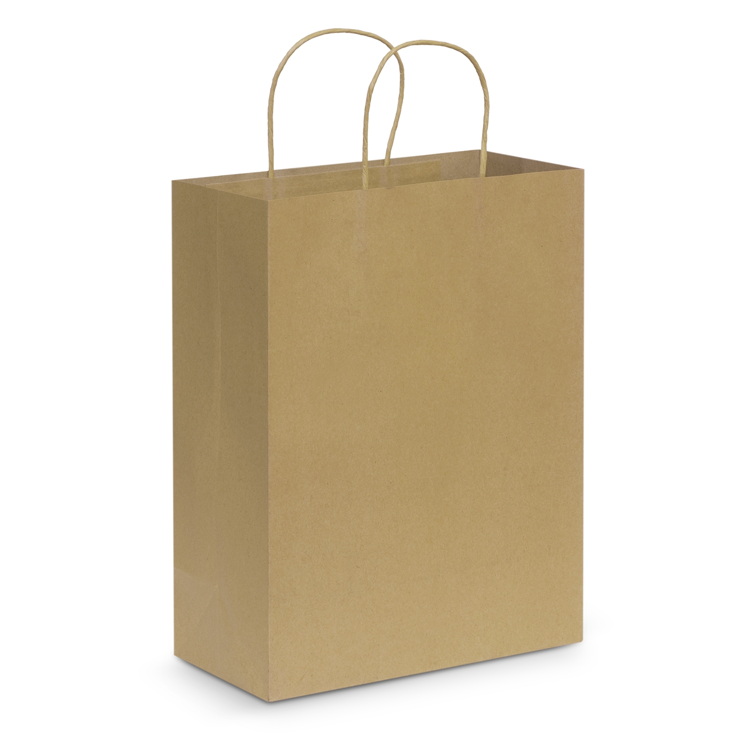 TRENDS | Paper Carry Bag - Large