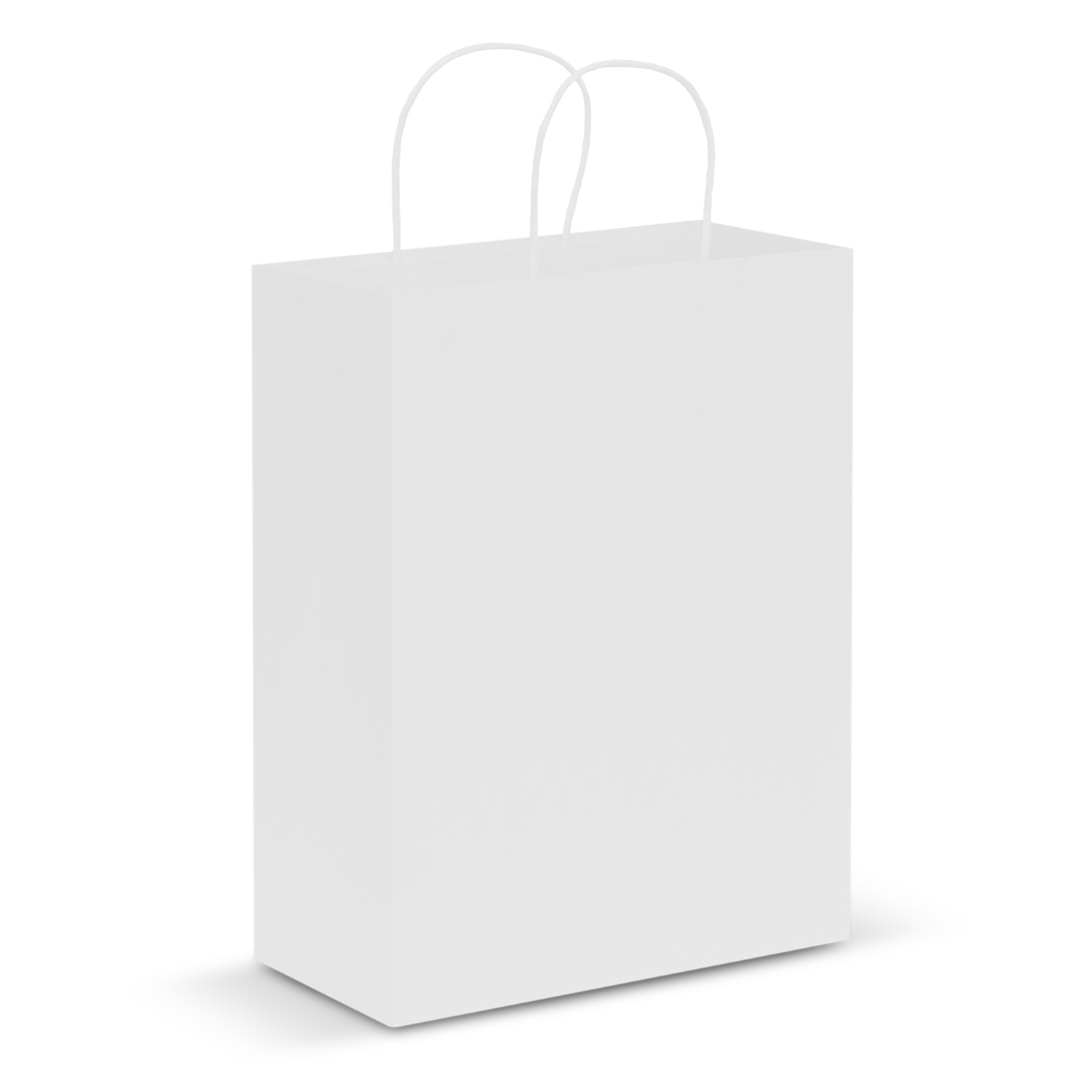 TRENDS | Paper Carry Bag - Large