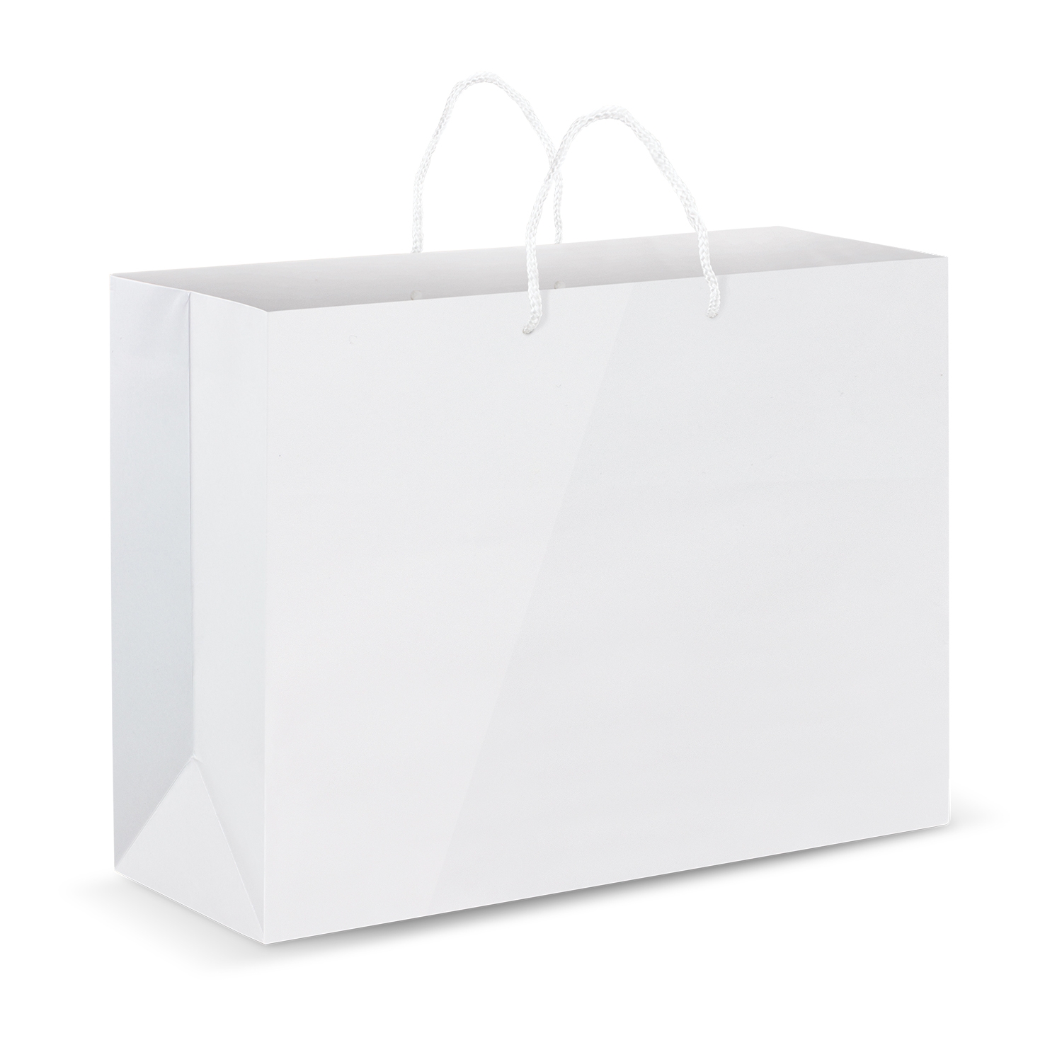 TRENDS | Extra Large Laminated Paper Carry Bag - Full Colour