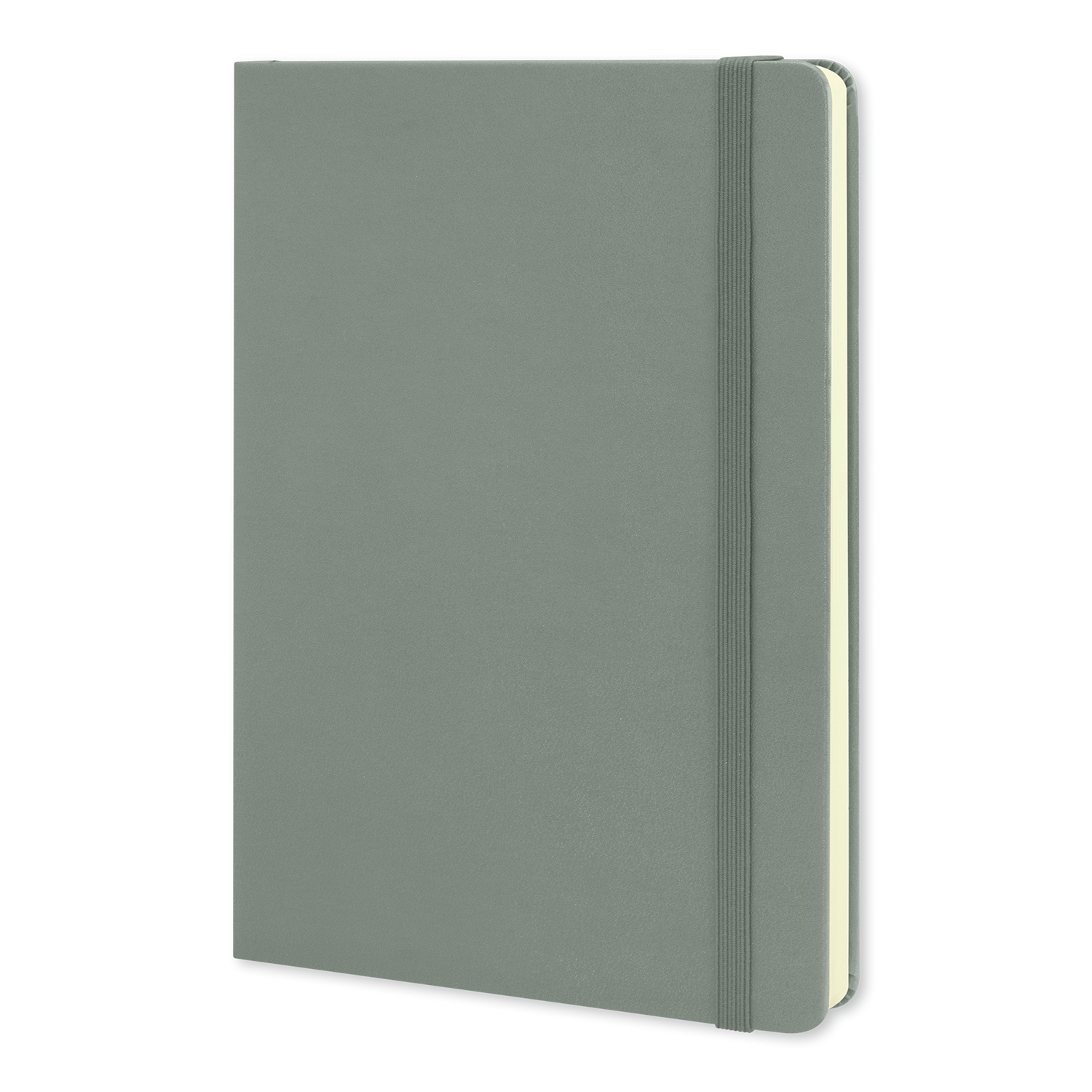 TRENDS | Moleskine Classic Hard Cover Notebook - Large