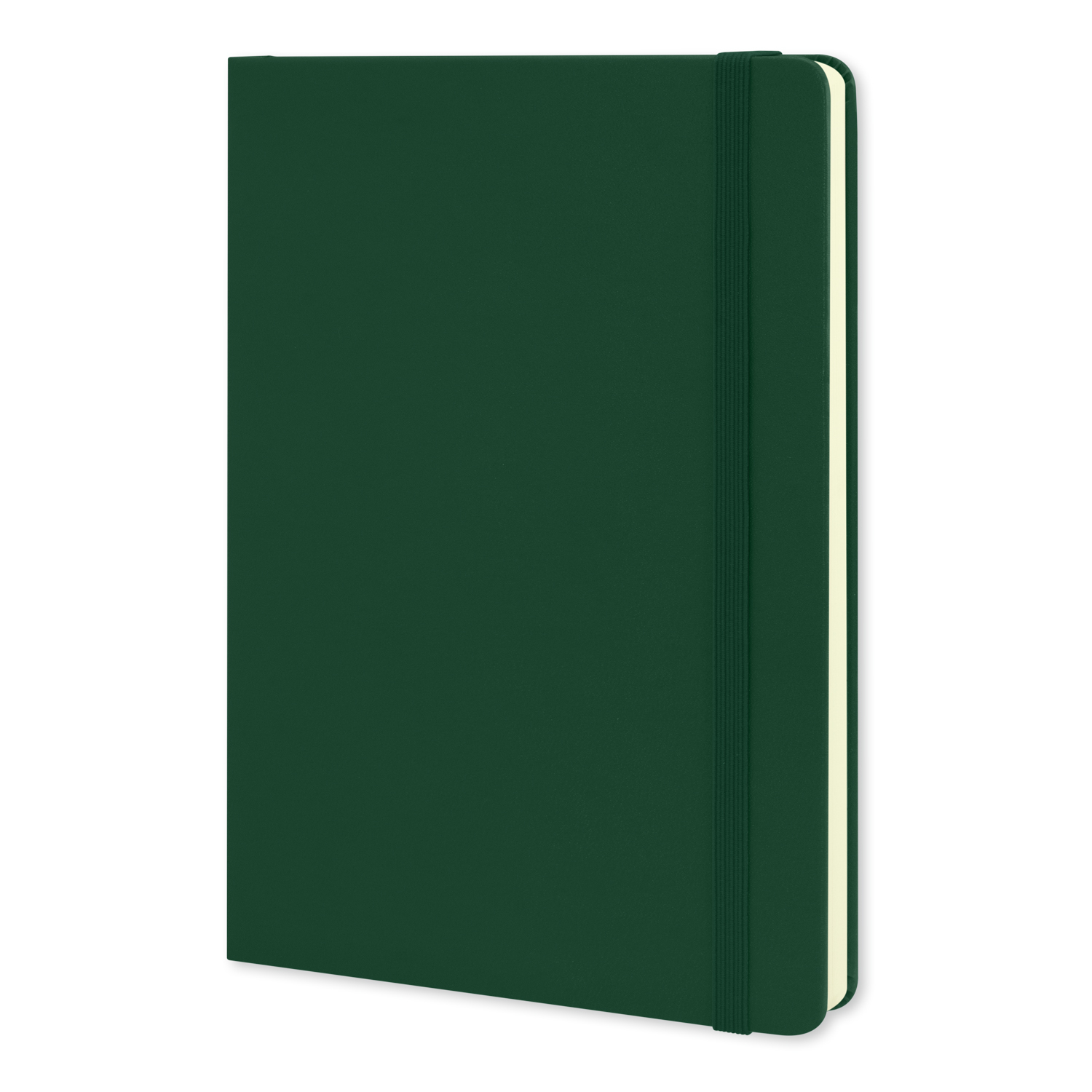 TRENDS | Moleskine Classic Hard Cover Notebook - Large
