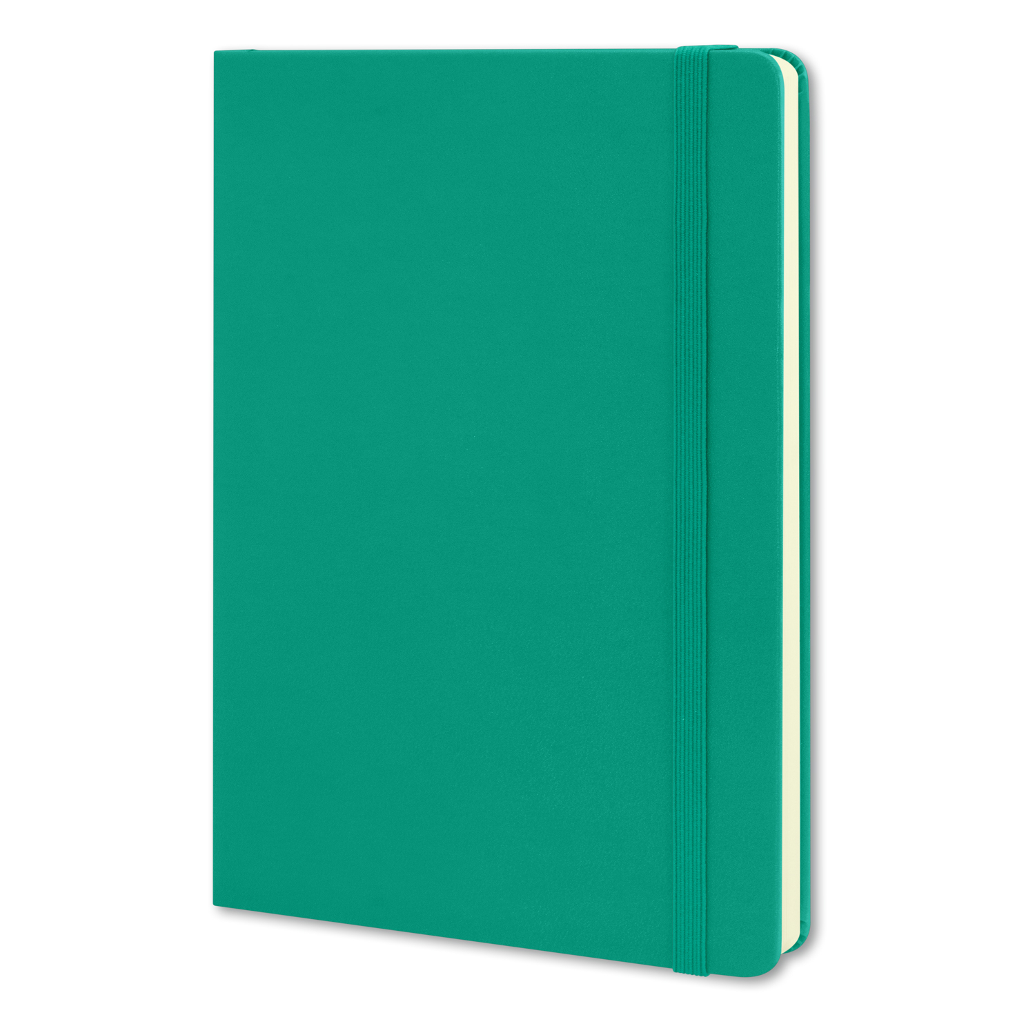 TRENDS | Moleskine Classic Hard Cover Notebook - Large