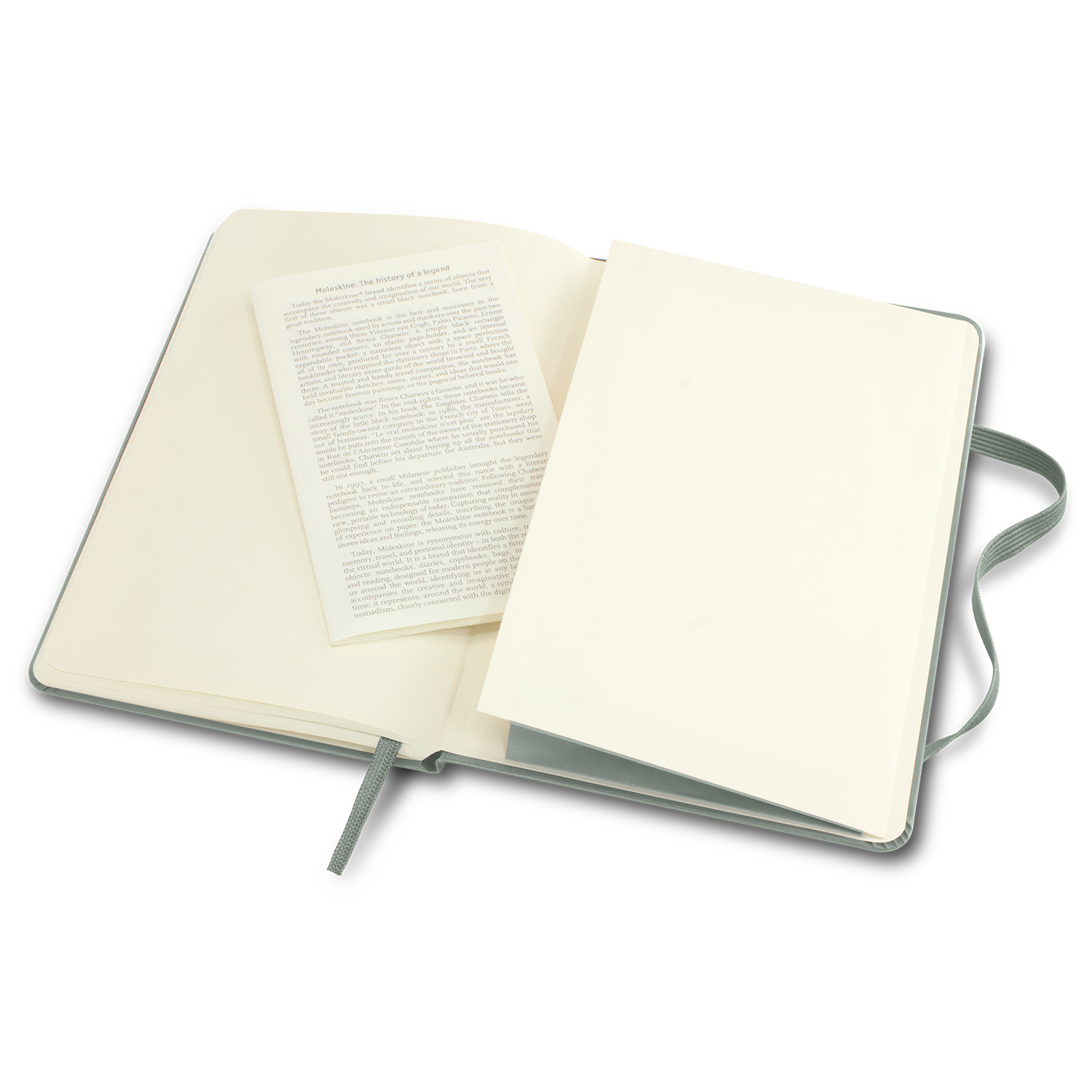 TRENDS | Moleskine Classic Hard Cover Notebook - Medium