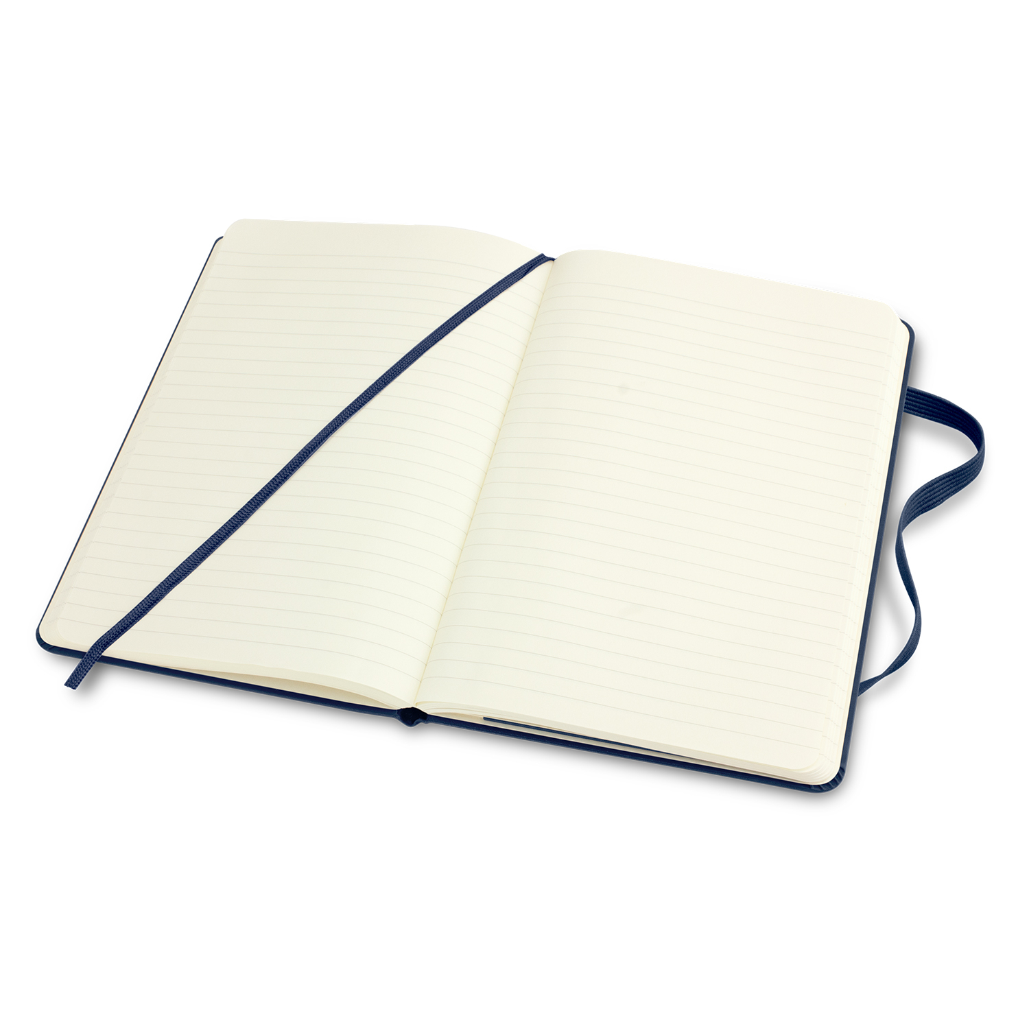 TRENDS | Moleskine Classic Hard Cover Notebook - Medium