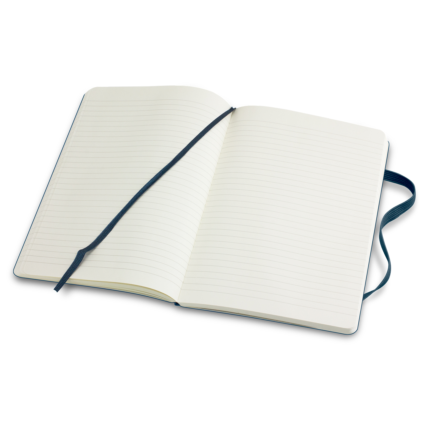 TRENDS | Moleskine Classic Soft Cover Notebook - Large