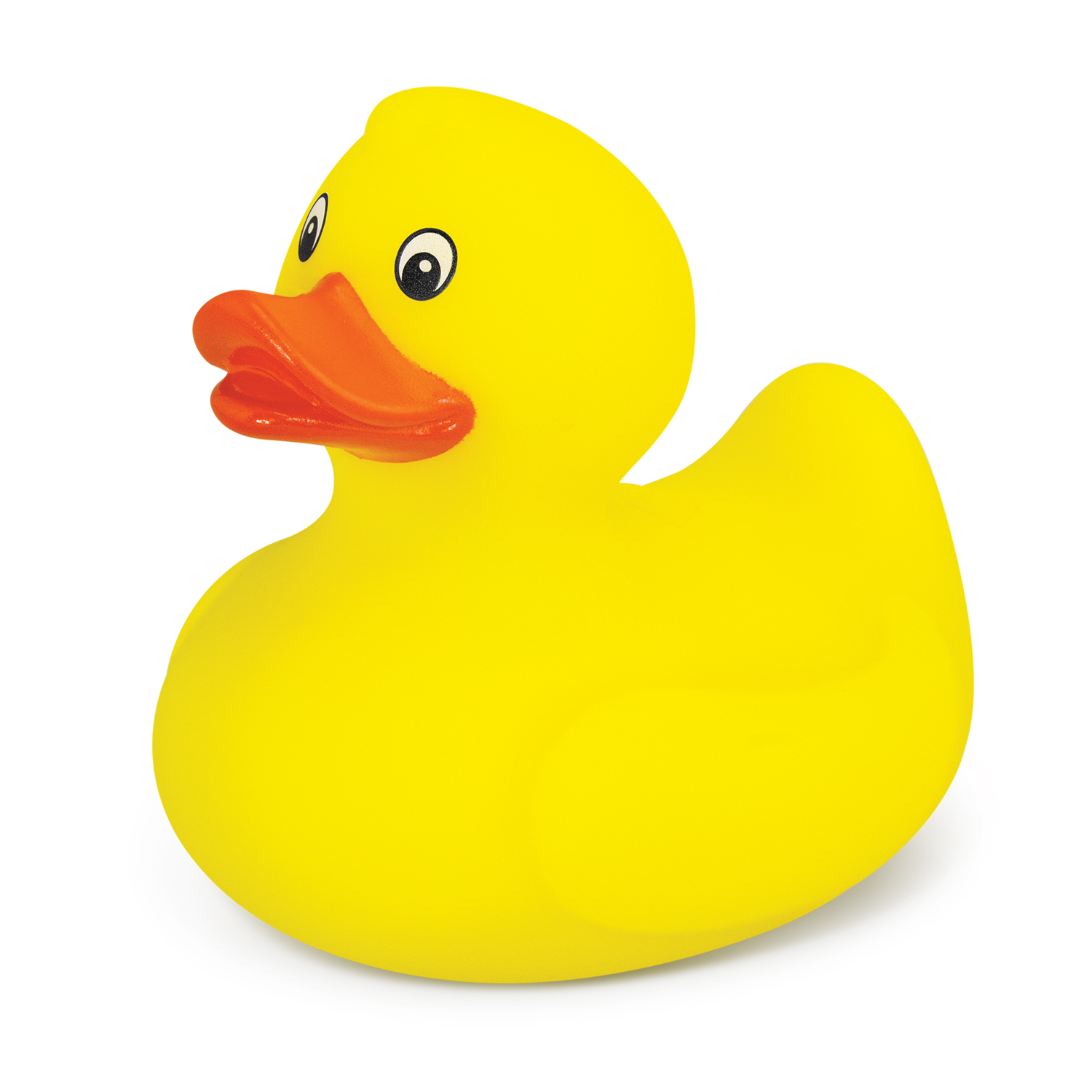TRENDS | Rubber Duck