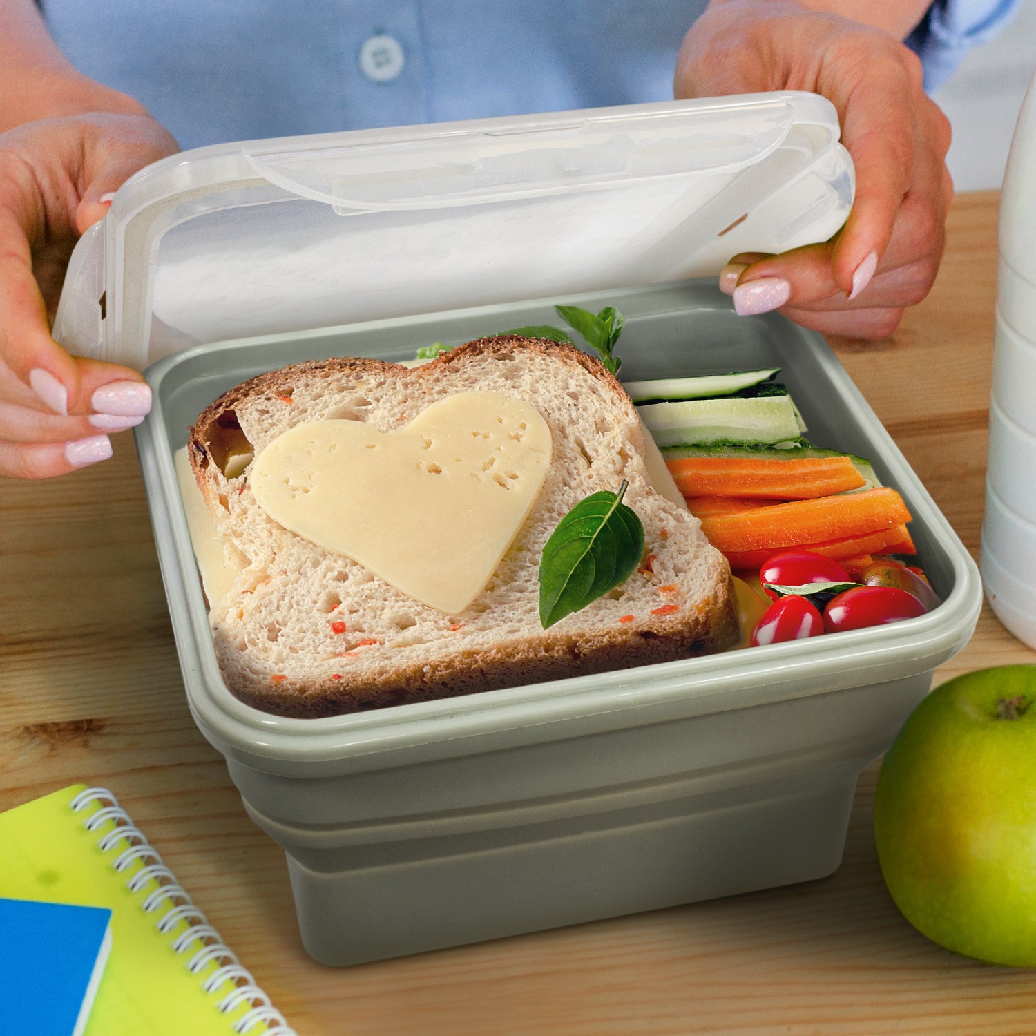 TRENDS | Collapsible Lunch Box