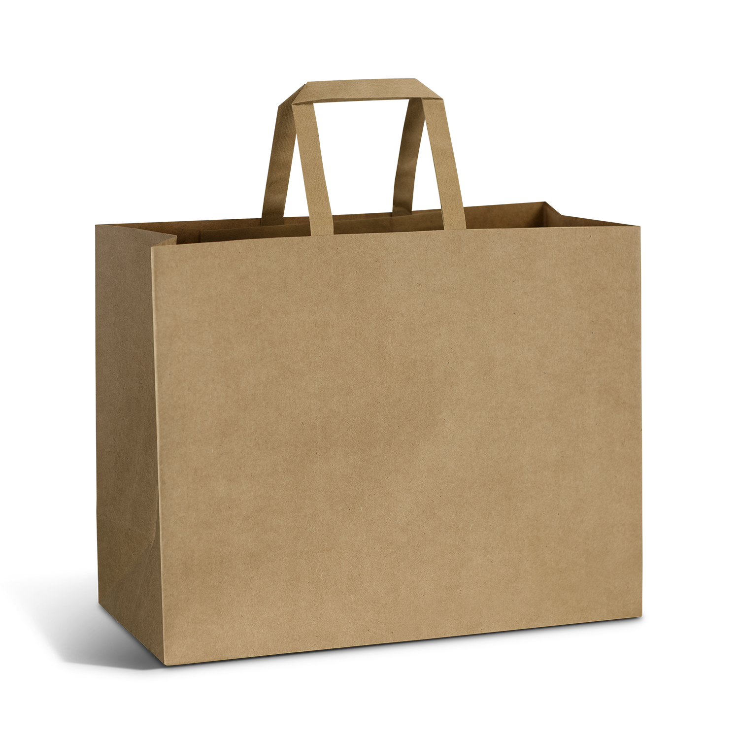 TRENDS | Large Flat Handle Paper Bag Landscape