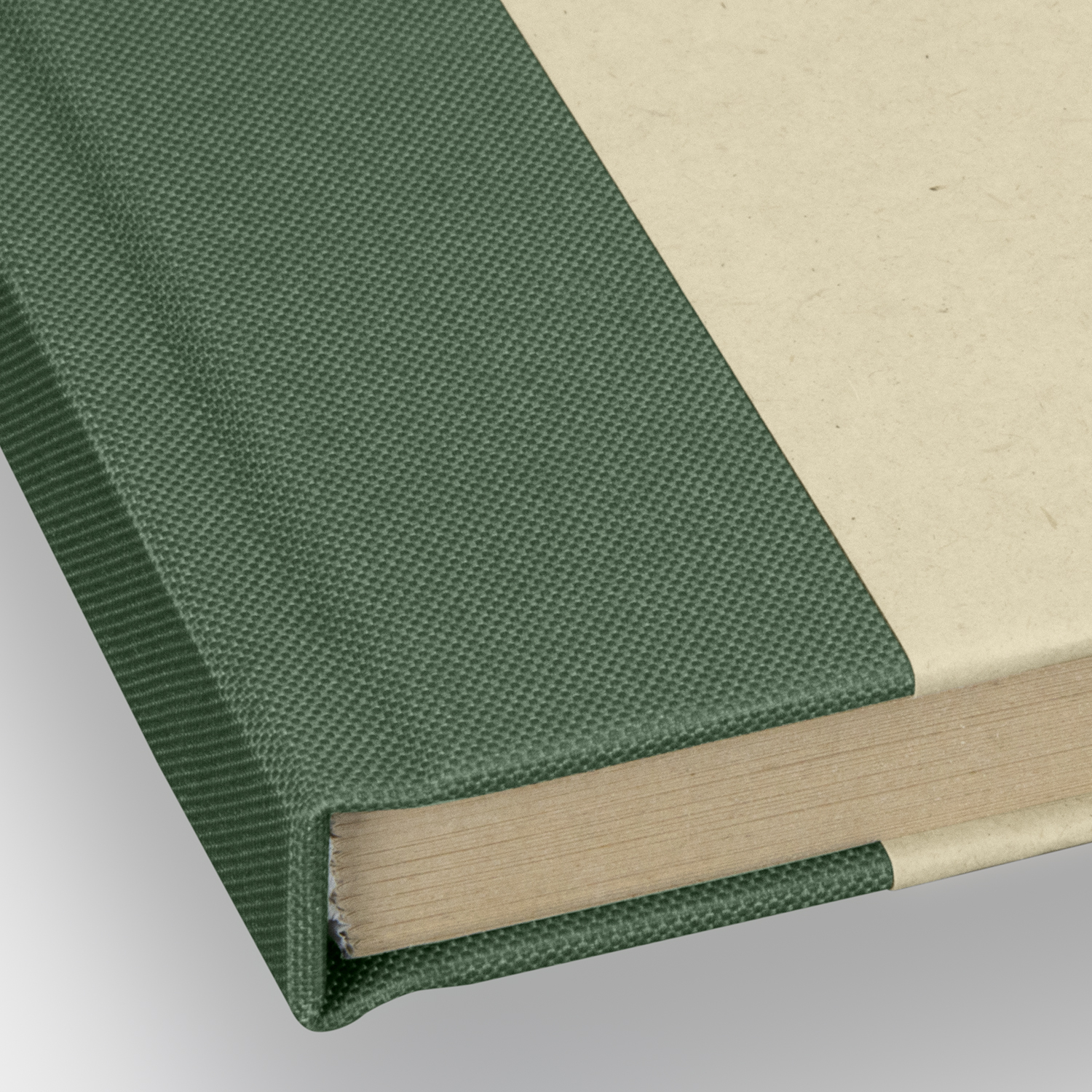 TRENDS | Paulo Sugarcane Notebook