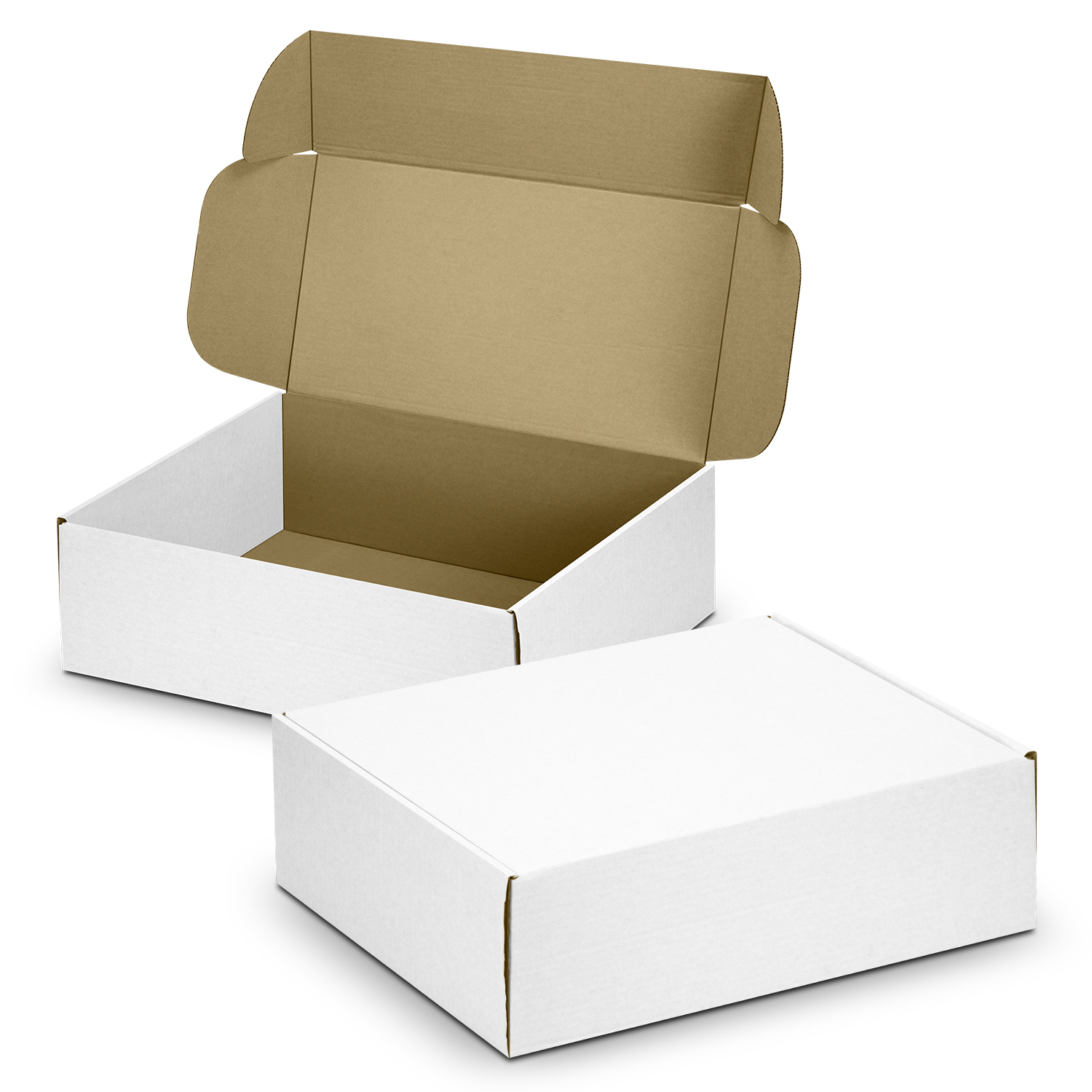 TRENDS | Die Cut Box with Locking Lid - 502x295x150mm
